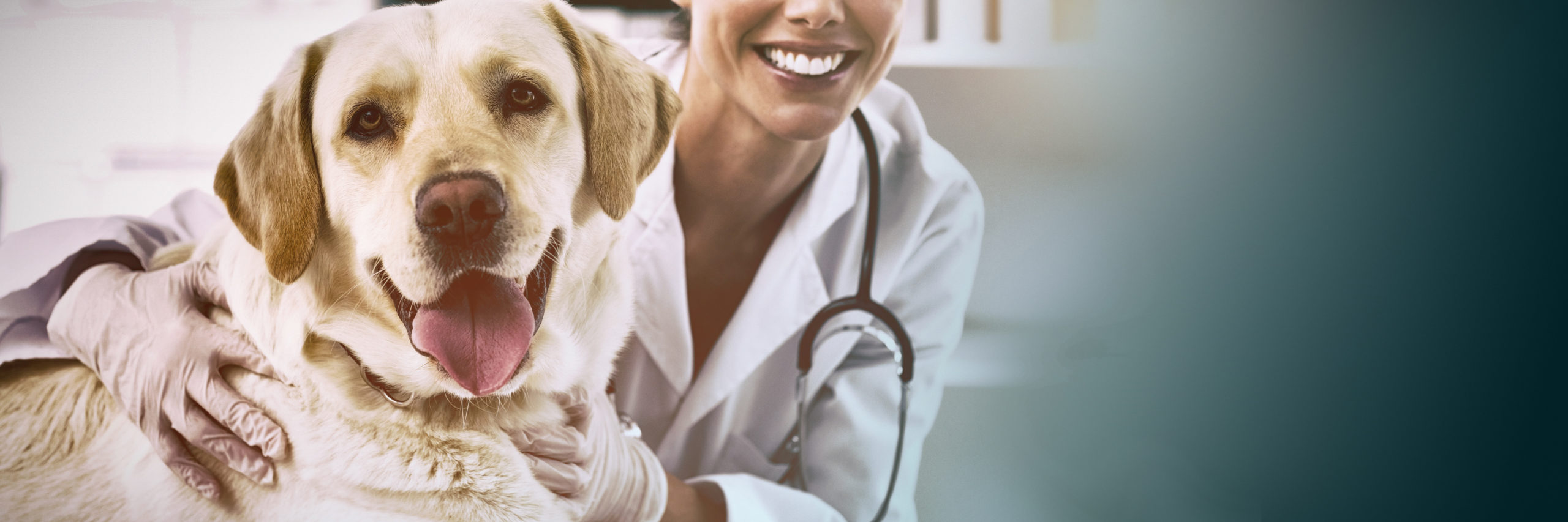 Pet Facilities - Select Coatings